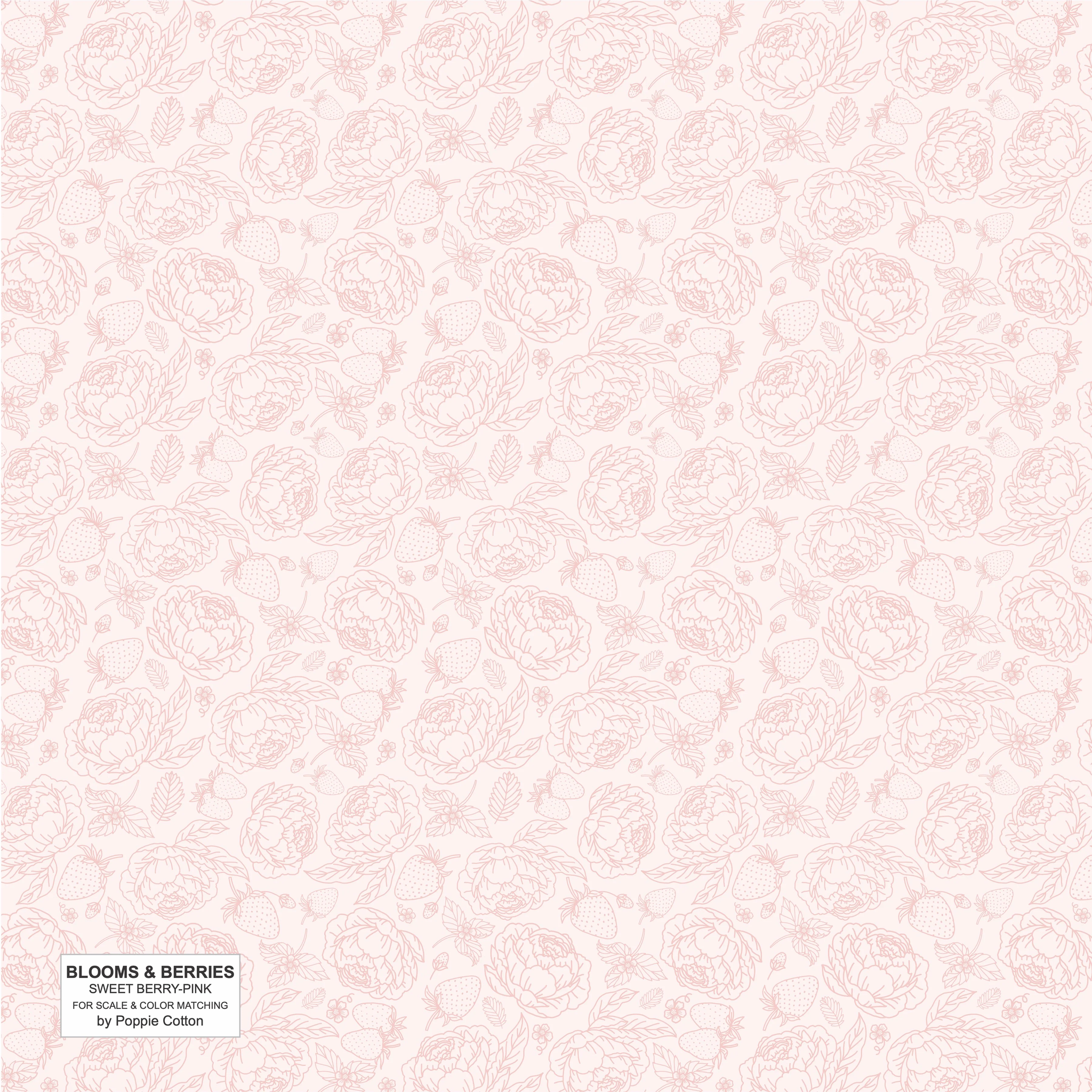 SWEET BERRY PINK - Blooms and Berries